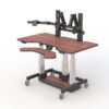 Ergonomic Adjustable Cardiology & Oncology Workstation