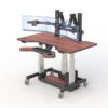 Ergonomic Adjustable Cardiology & Oncology Workstation